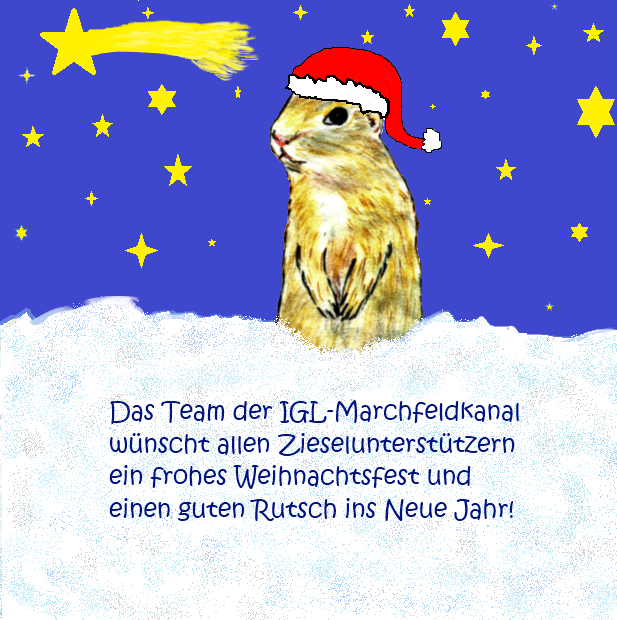 Frohe Weihnachten und einen guten Rutsch ins Neue Jahr! | Die IGL ...
